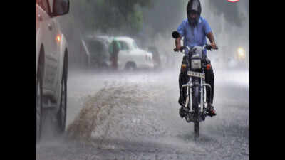 Rainfall lashes Igatpuri the hardest; Nashik drenched too | Nashik News ...