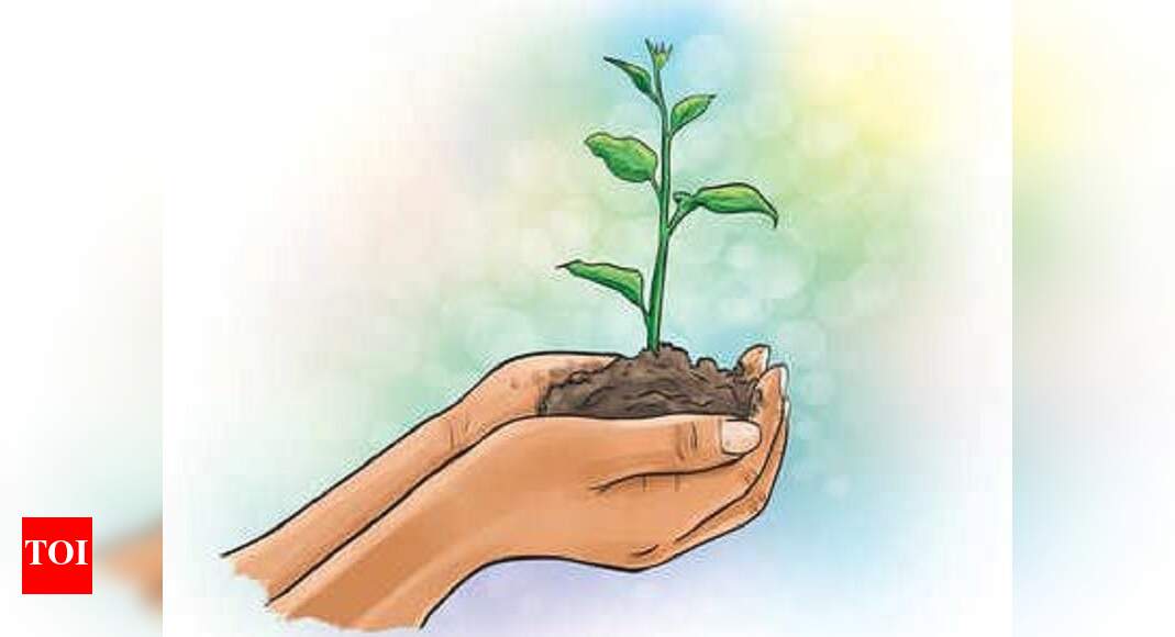Jalandhar: 30,000 trees to be planted to mark 550th birth anniversary ...