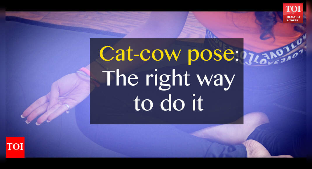 VIDEO: Cat-Cow Pose: The right way to do it - Times of India