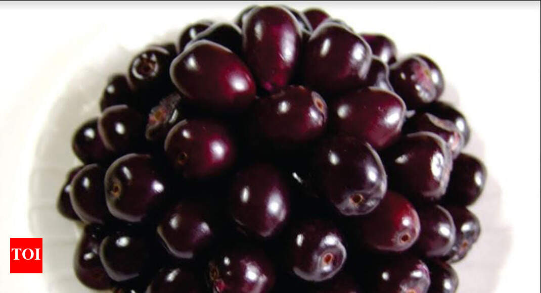 Central Institute of Subtropical Horticulture preserves seedless 'jamun ...