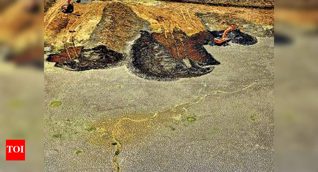 Pallavaram & Keelkattalai tank restoration work almost over | Chennai ...