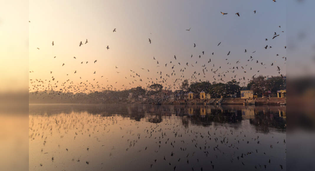 Setting up cafes at Yamuna riverfront is on the cards | Times of India ...