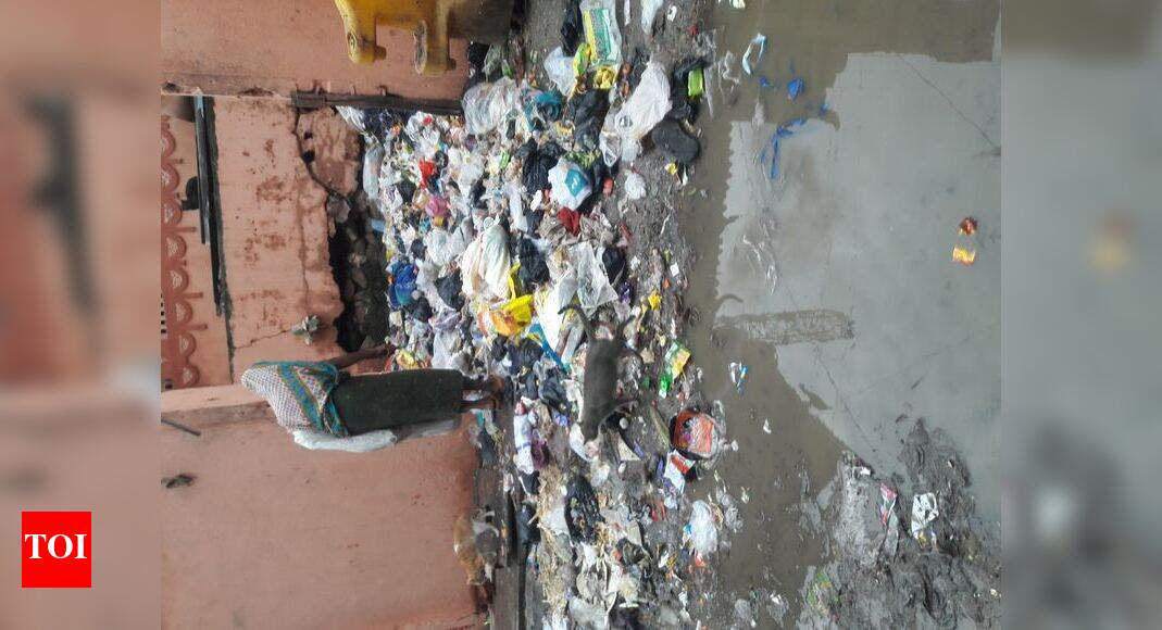 garbage has became serial problem in the world - Times of India