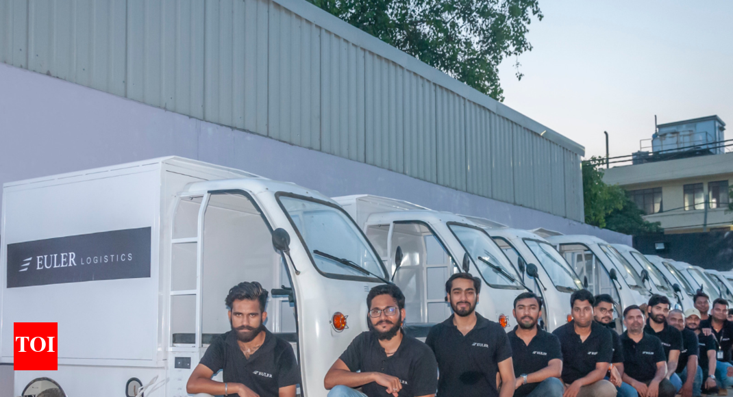 Euler Motors to introduce electric light commercial cargo 3-wheelers by ...