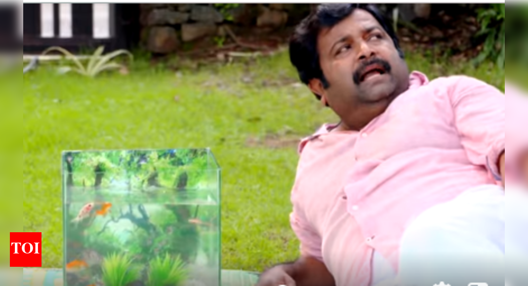 Uppum Mulakum: Meet Balu’s new friends! - Times of India