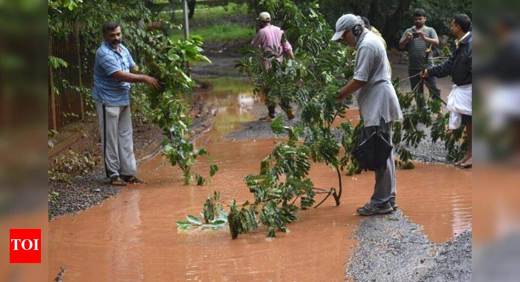 Residents plant saplings, tree branches in potholes | Hubballi News ...