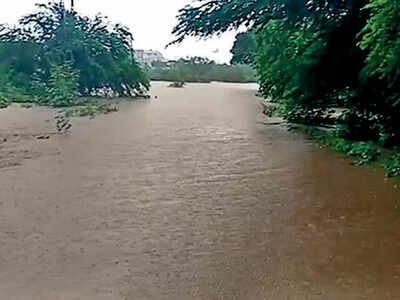 Mangrol gets 187 mm in 12 hours as rain pounds South Gujarat again ...