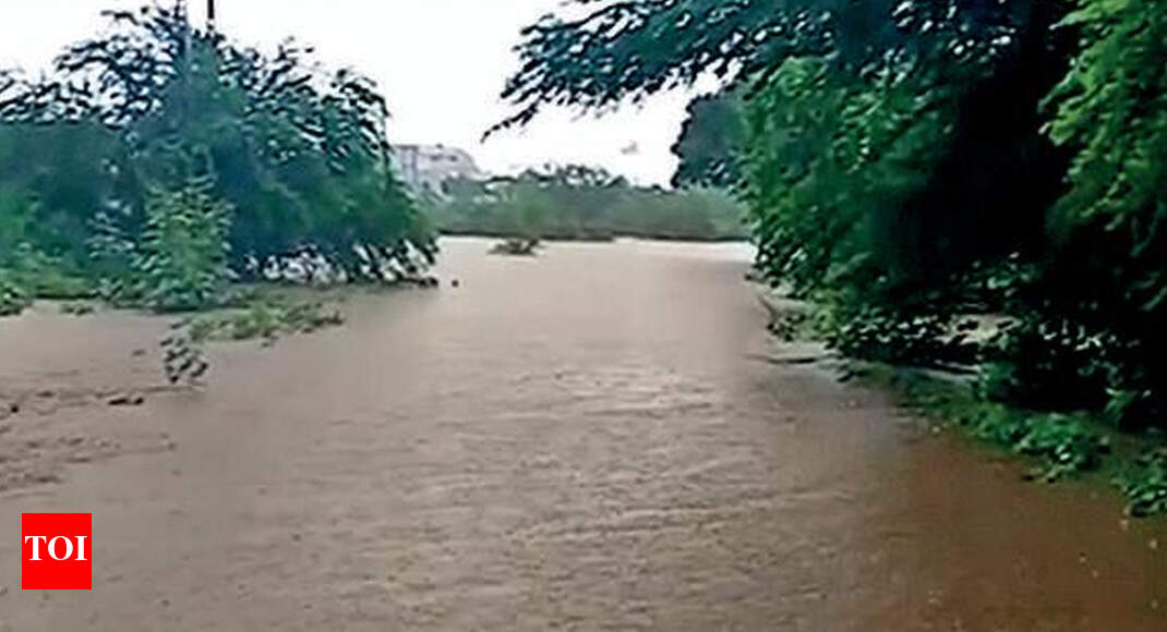 Mangrol gets 187 mm in 12 hours as rain pounds South Gujarat again ...