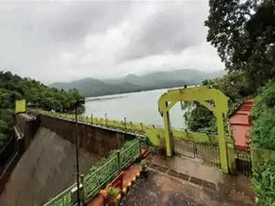 Goa: Three gates of Anjunem dam opened | Goa News - Times of India