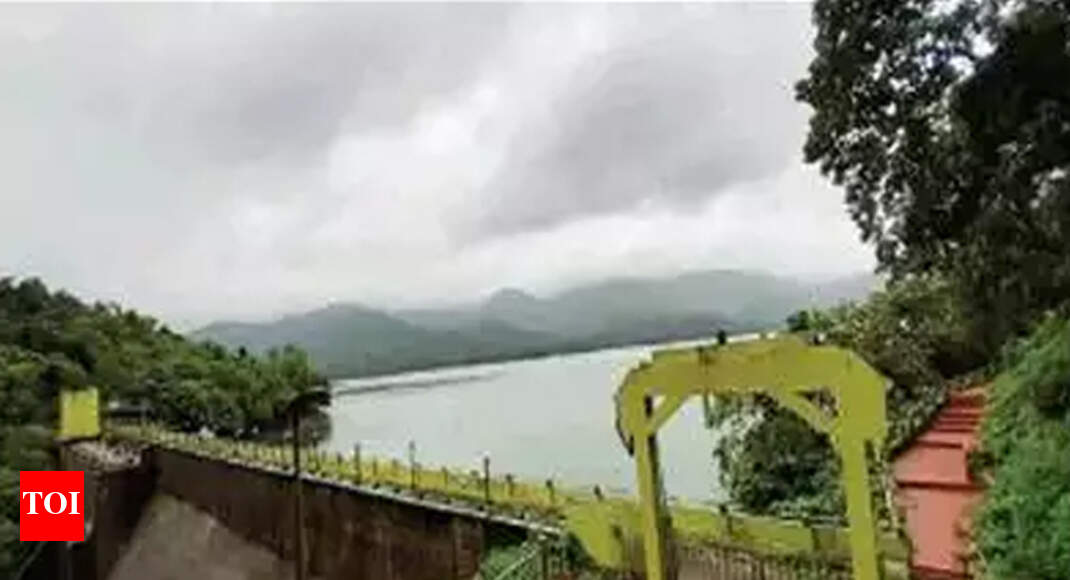Goa: Three gates of Anjunem dam opened | Goa News - Times of India