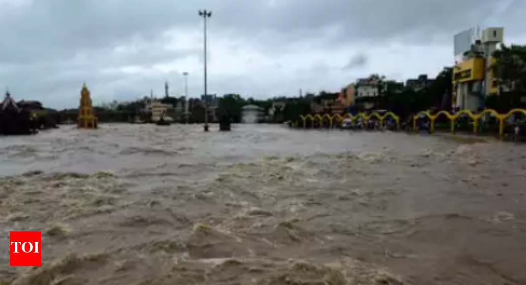 Over 70,000 people affected by floods in Andhra Pradesh | India News ...