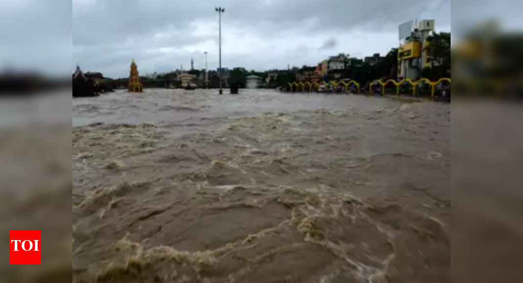 Over 70,000 people affected by floods in Andhra Pradesh | India News ...