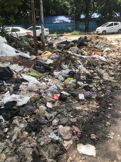 Subhas Sarovar Lake has become a garbage dump yard - Times of India