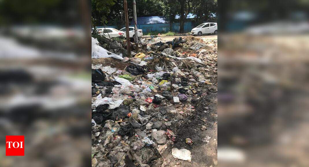 Subhas Sarovar Lake has become a garbage dump yard - Times of India