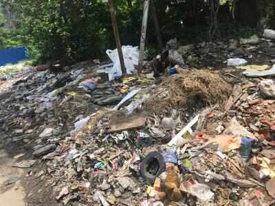 Subhas Sarovar Lake has become a garbage dump yard - Times of India