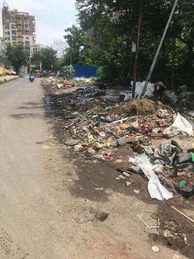 Subhas Sarovar Lake has become a garbage dump yard - Times of India