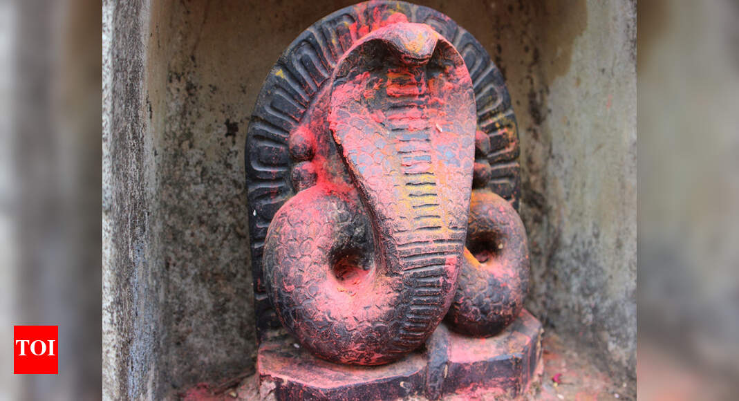 What is the significance of milk in Nag Panchami - Times of India