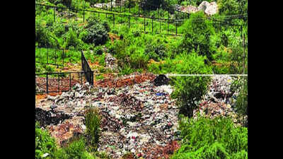 Trees axed, malba dumped in green belts at Wazirabad lake | Gurgaon ...