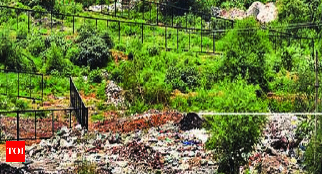 Trees axed, malba dumped in green belts at Wazirabad lake | Gurgaon ...