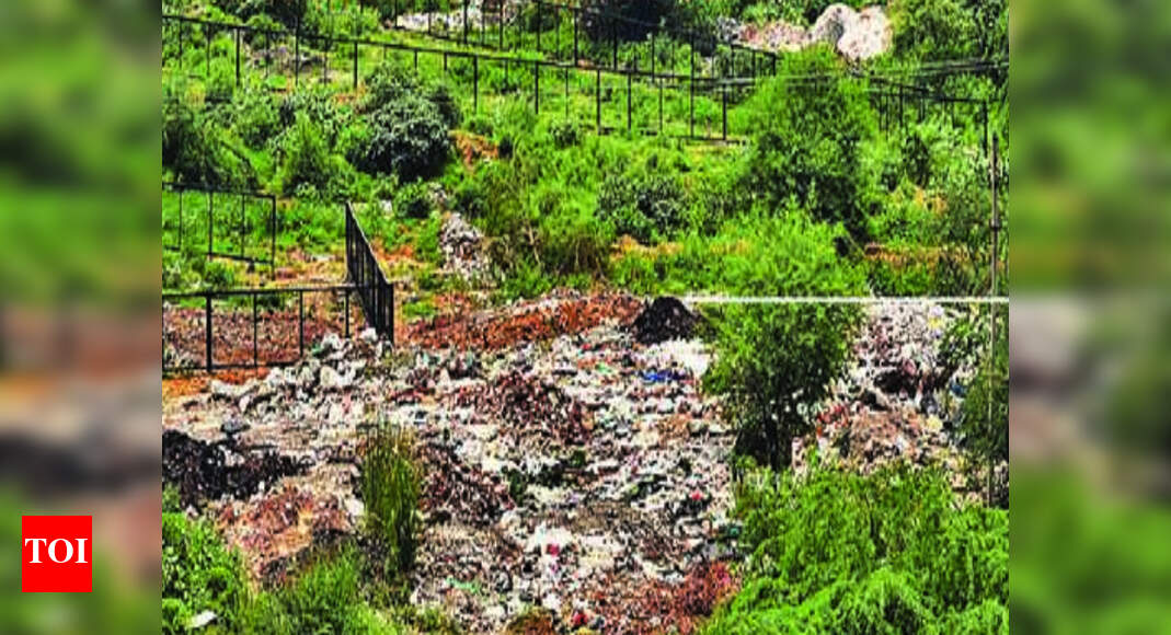 Trees axed, malba dumped in green belts at Wazirabad lake | Gurgaon ...