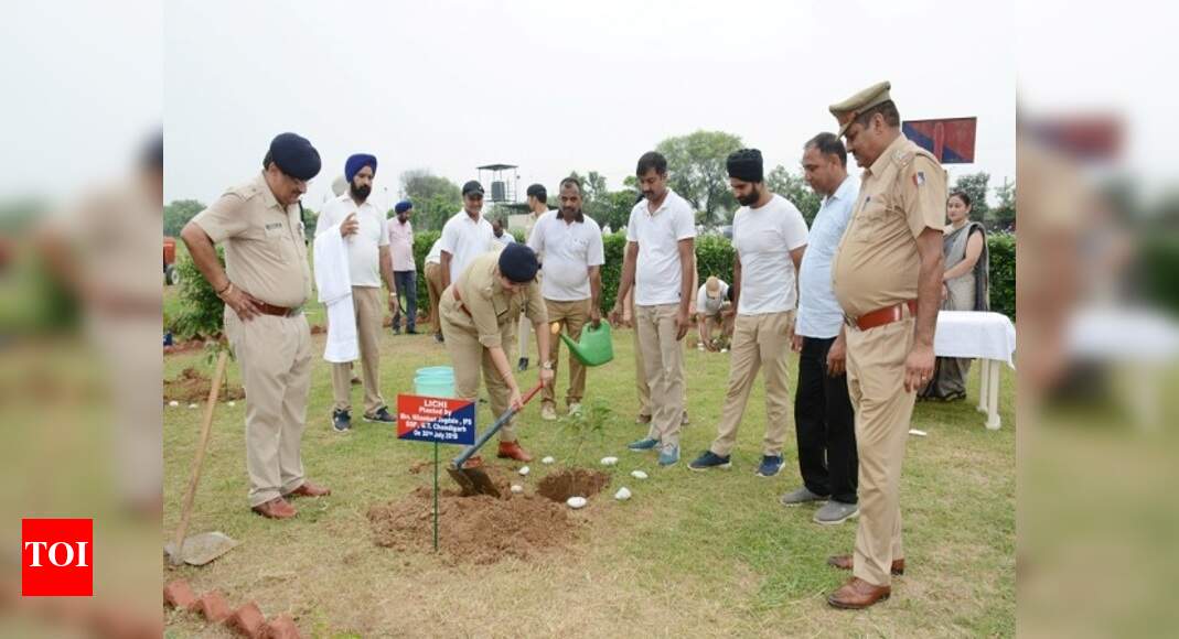 A fruitful tree plantation drive | Events Movie News - Times of India