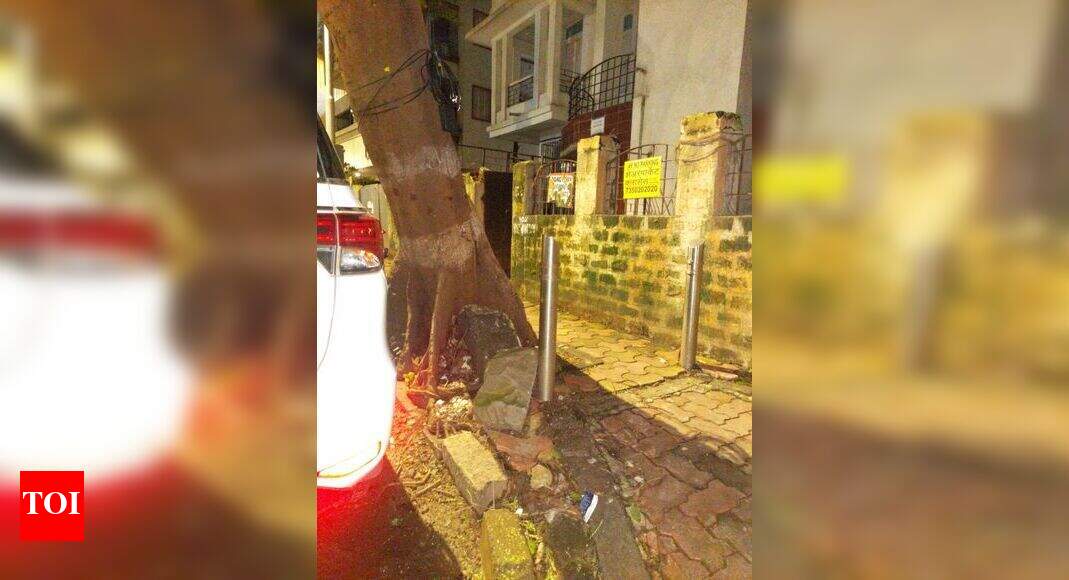 Ill-treatment meted out to Trees - Times of India