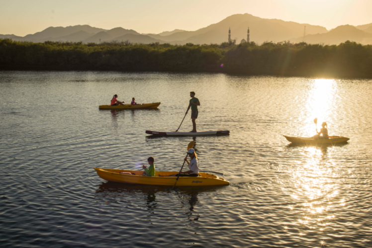 Sharjah: the coolest destination for adventurers | Times of India Travel