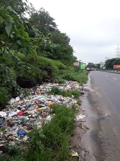 garbage on road side old mumbai pune highway - Times of India