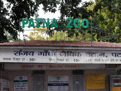 Patna zoo signs MoU with Discovery | Patna News - Times of India