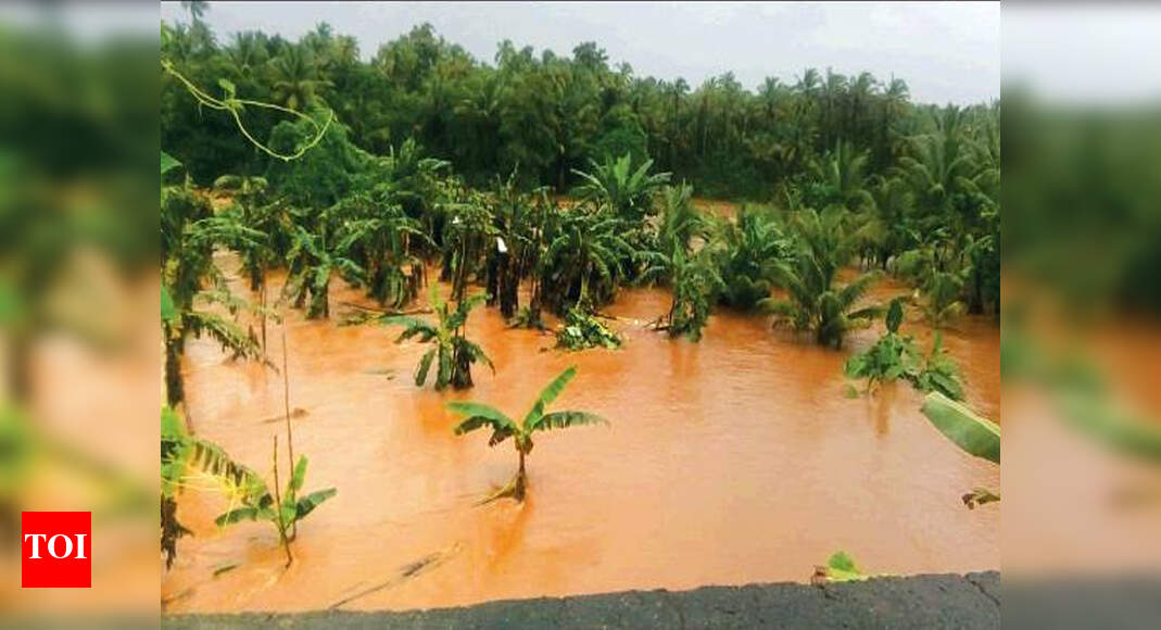Goa gets 64% of August rain in just 7 days | Goa News - Times of India