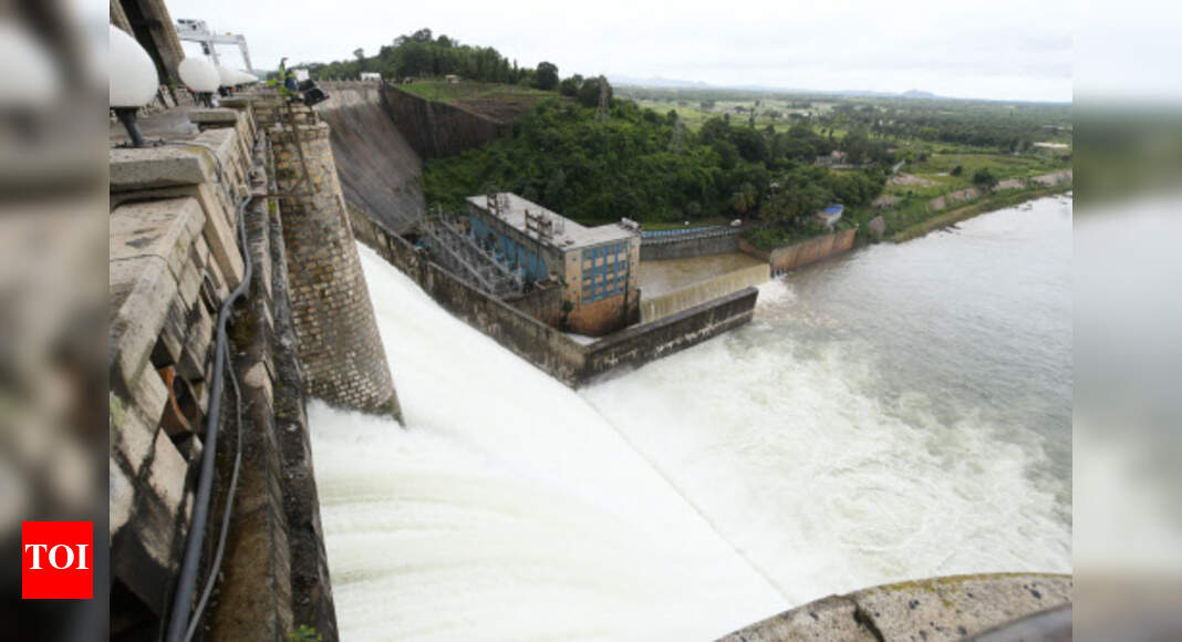 bhadra dam - Times of India