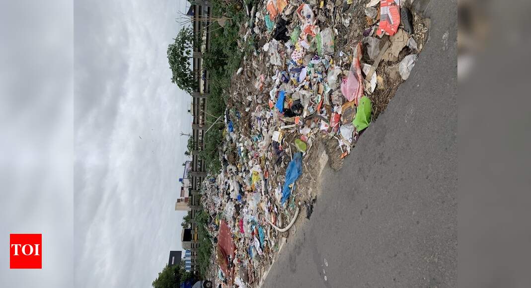 Garbage dump - Times of India