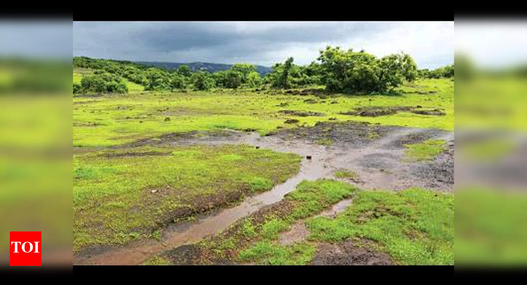 Green activists seek legal protection for Socorro plateau | Goa News ...