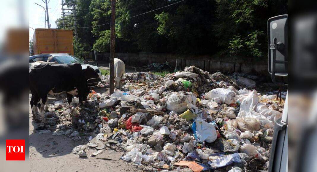Collection stopped 2 months ago, trash piles up in Sector 18 | Gurgaon ...