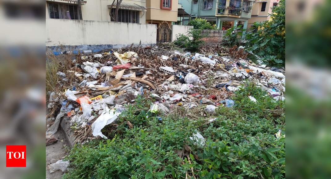 BULK MOSQUITO BREEDING PLACE - Times of India