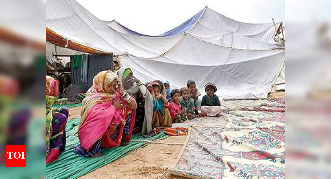 Rajasthan: Marriage key reason for intra-state migration | Jaipur News ...