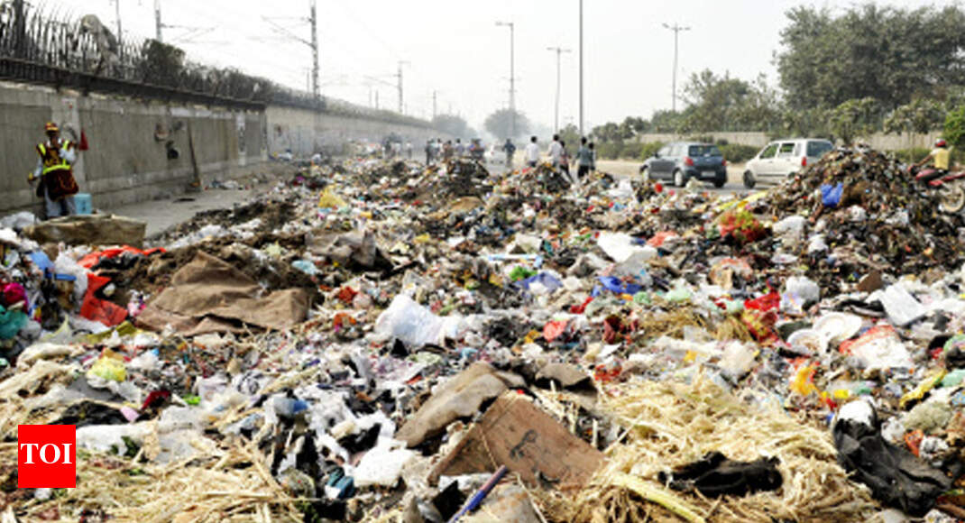 ‘Waste dumping and burning top polluting activities’ | Delhi News ...