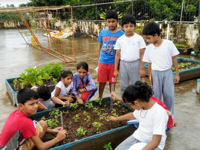 These Goan kids love their veggies | Goa News - Times of India
