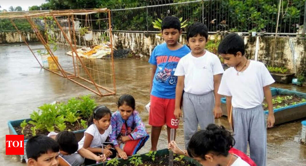 These Goan kids love their veggies | Goa News - Times of India