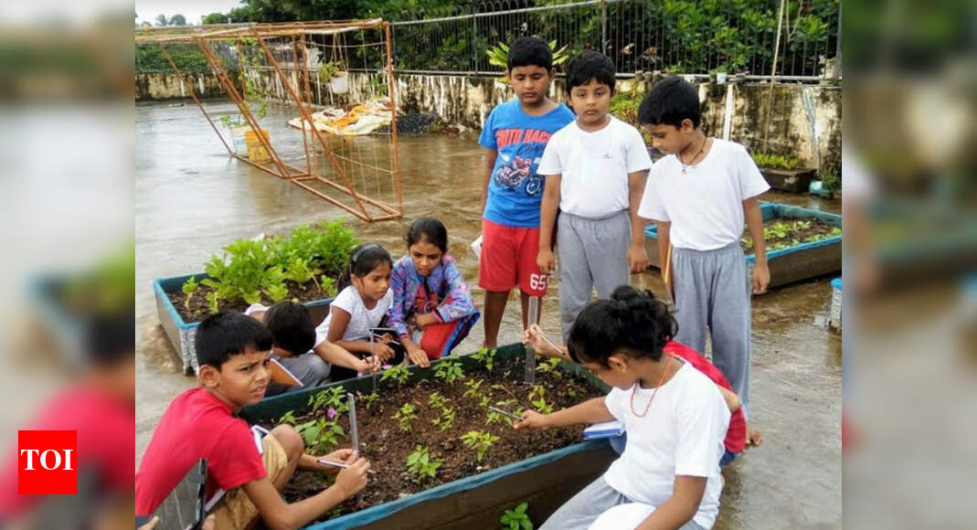 These Goan kids love their veggies | Goa News - Times of India