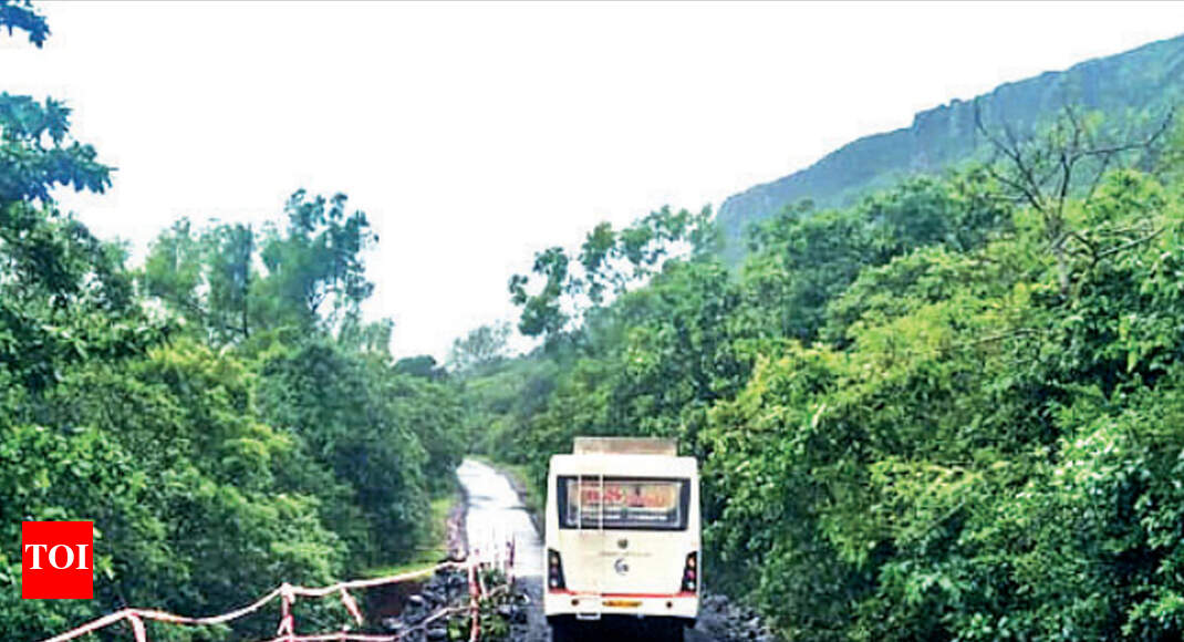 Road to valley of flowers reopens after a week | Pune News - Times of India