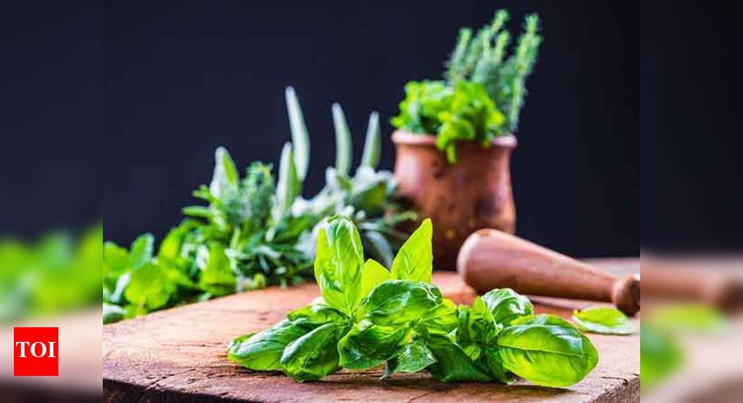 Top herbs and spices and their health benefits - Times of India
