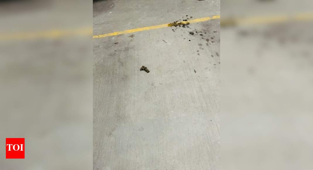 Rich pets take crap in residents parking spaces. - Times of India