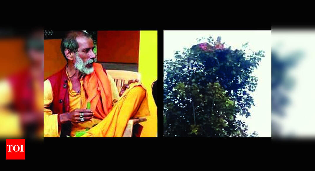 ‘Bandariya Baba’ on tree keeps Bahraich cops on toes | Lucknow News ...