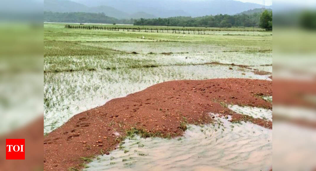 Iron ore sludge fills homes in Karwar | Hubballi News - Times of India
