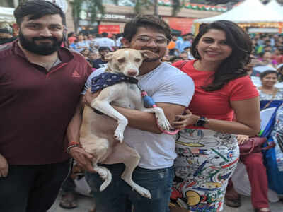Indie dog show held in Chennai | Chennai News - Times of India