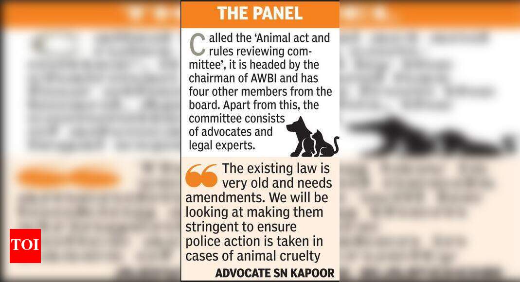 Animal Welfare Laws To Be Amended Committee Set Up Nagpur News animal-welfare-laws-to-be-amended-committee-set-up-nagpur-news