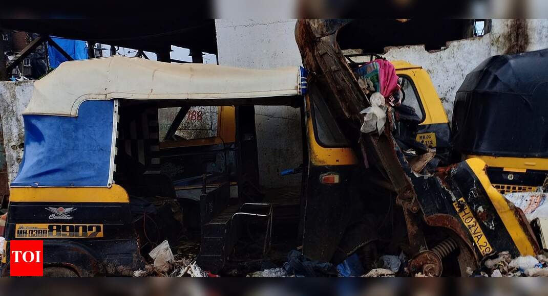 junk of stinking garbage - Times of India