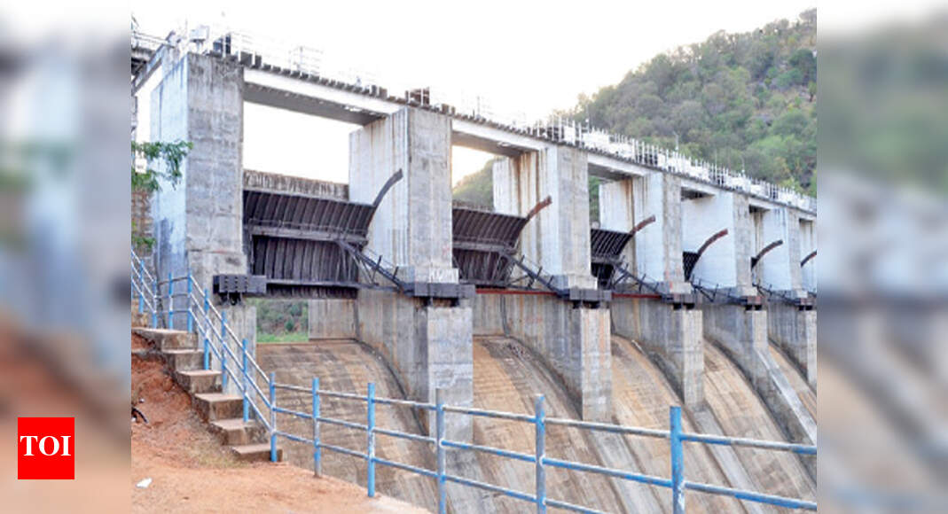 A dam that never served the purpose | Chennai News - Times of India