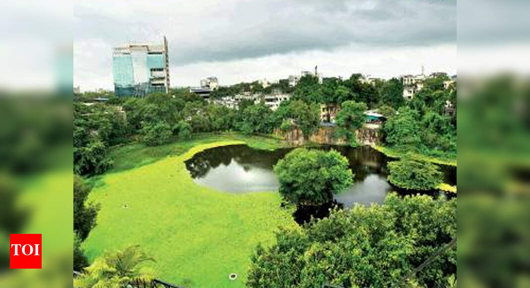 Model Colony residents divided over cleaning up of Lakaki lake | Pune ...